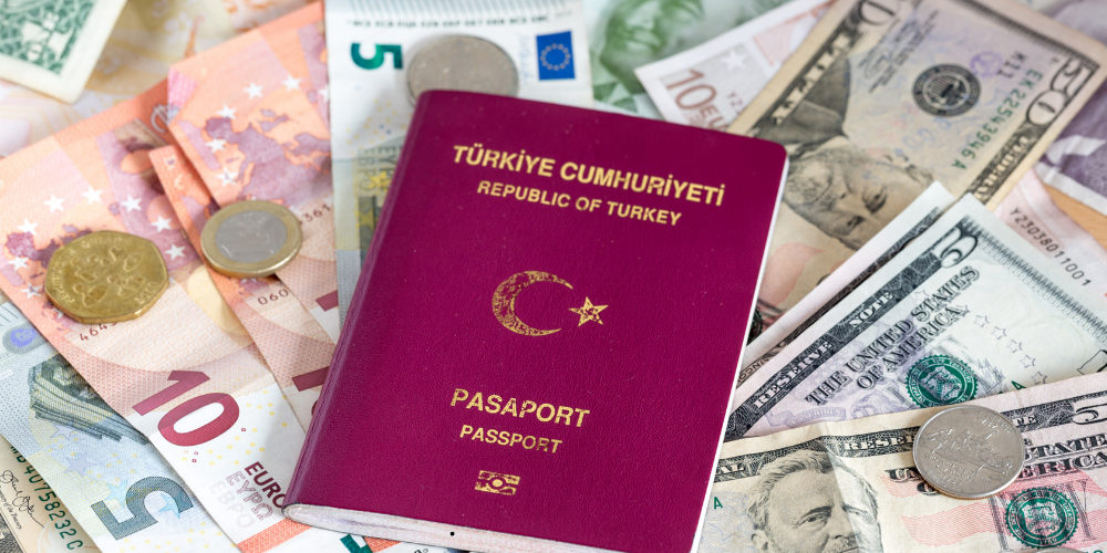 Bordo Pasaport Nedir? Nasıl Alınır? Bordo Pasaport Evrakları Nelerdir?